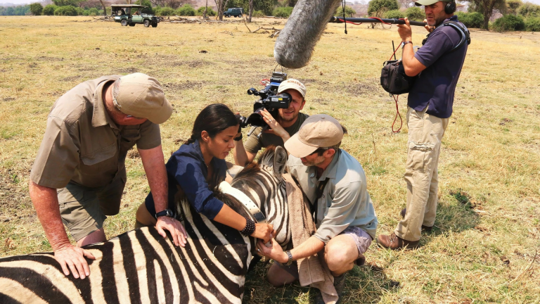 Liz Bonnin | Keynote Speaker | Chartwell Speakers
